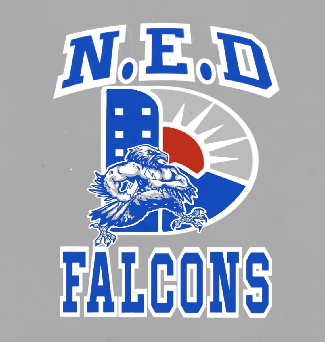 NED Falcons – Rocky Mountain Pop Warner
